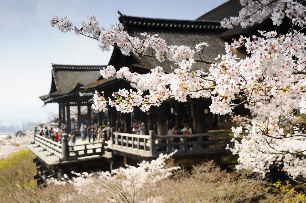Japan Spring Tour 2026 (Tokyo - Kyoto - Osaka)